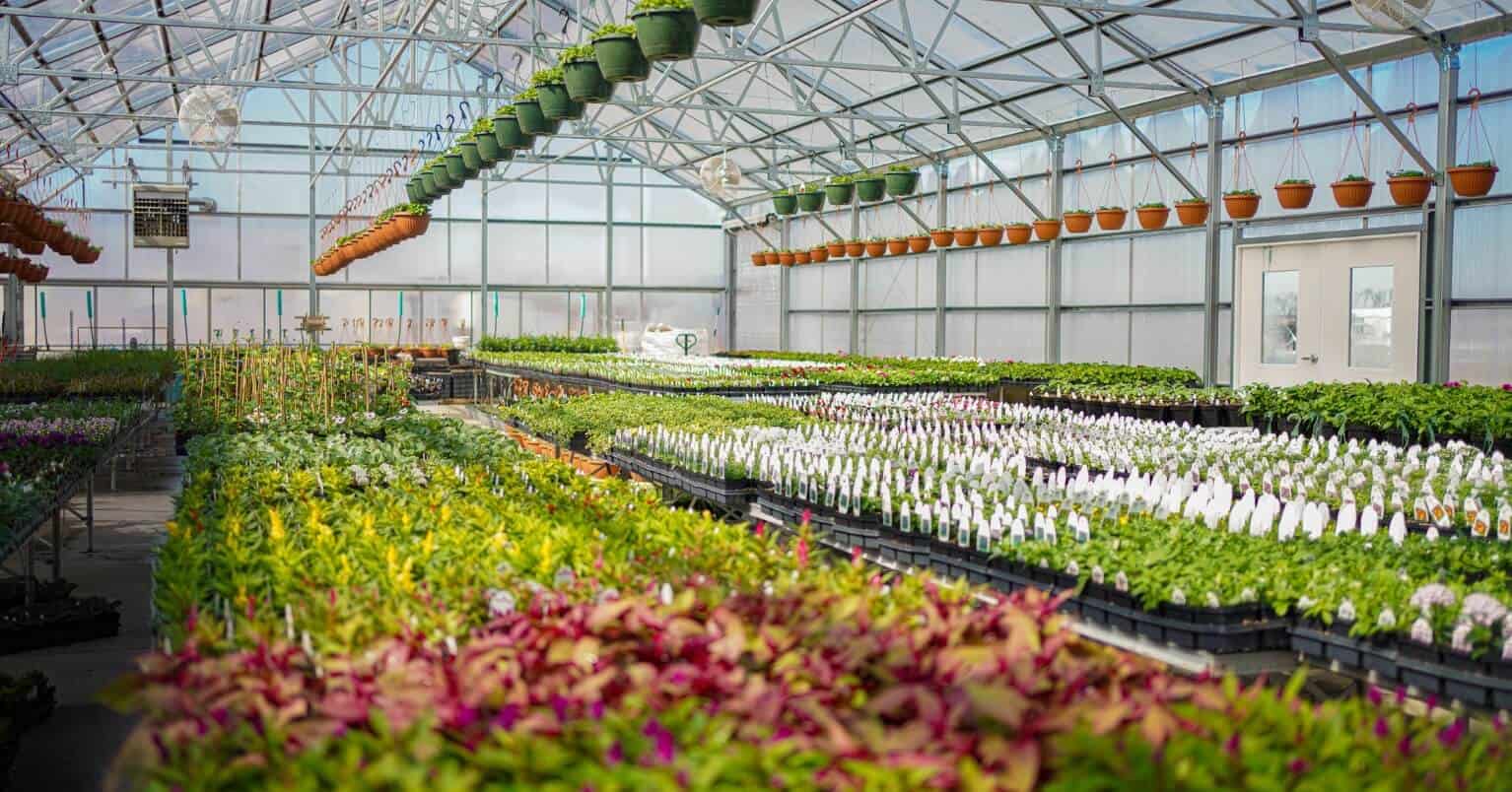 Stuart's Landscaping | Landscape Design, Garden Center & Lawn Care